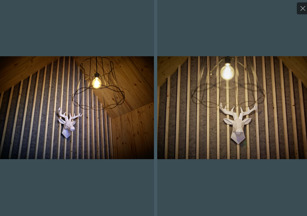 Manage asset versions